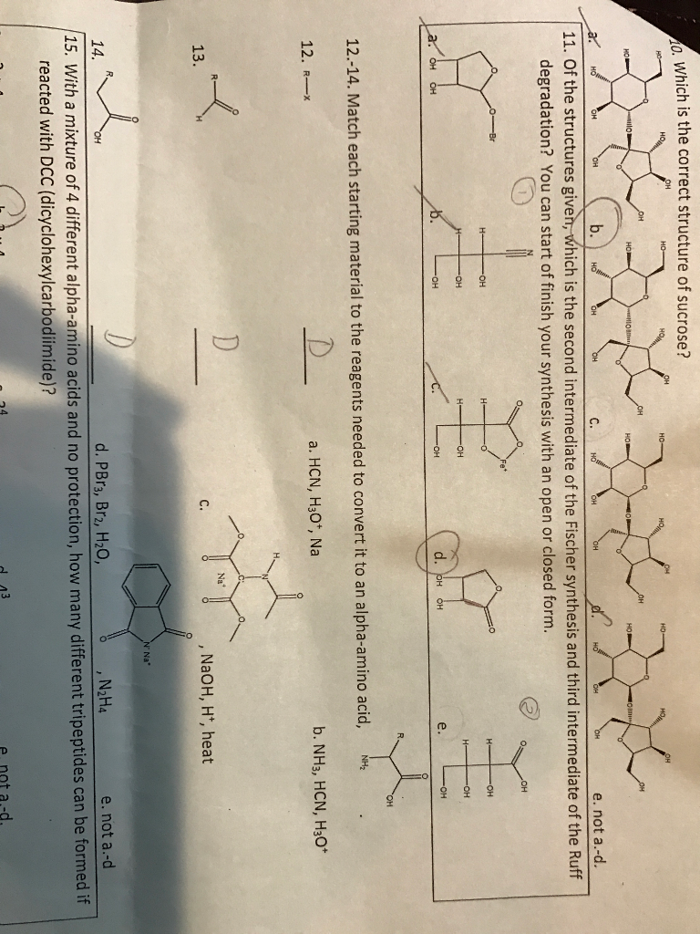 Solved 2. Which is the correct structure of sucrose? HO HO | Chegg.com