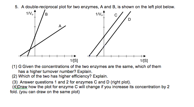 Solved A double-reciprocal plot for two enzymes, A and B, is | Chegg.com Solved A double-reciprocal plot for two enzymes, A and B, is | Chegg.com