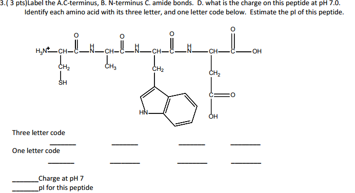 Solved Label the C-terminus, N-terminus amide bonds. what | Chegg.com