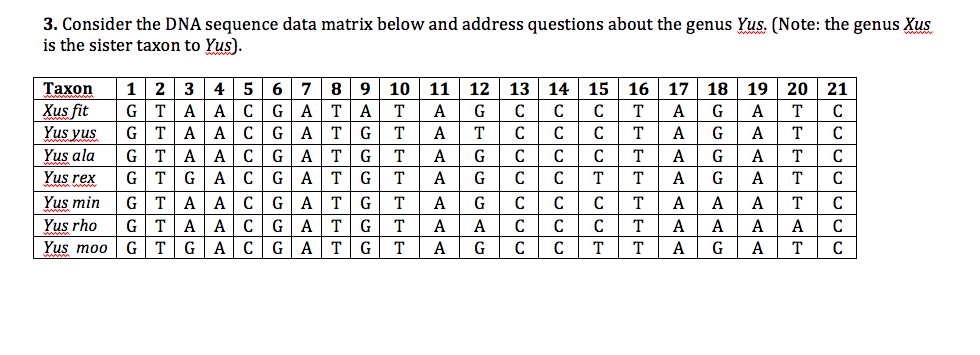 Solved 3a How Many Of The 21 Nucleotide Positions Exhibit