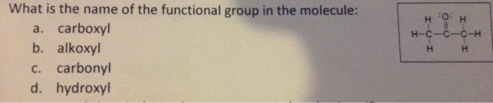 Solved What is the name of the functional group in the | Chegg.com