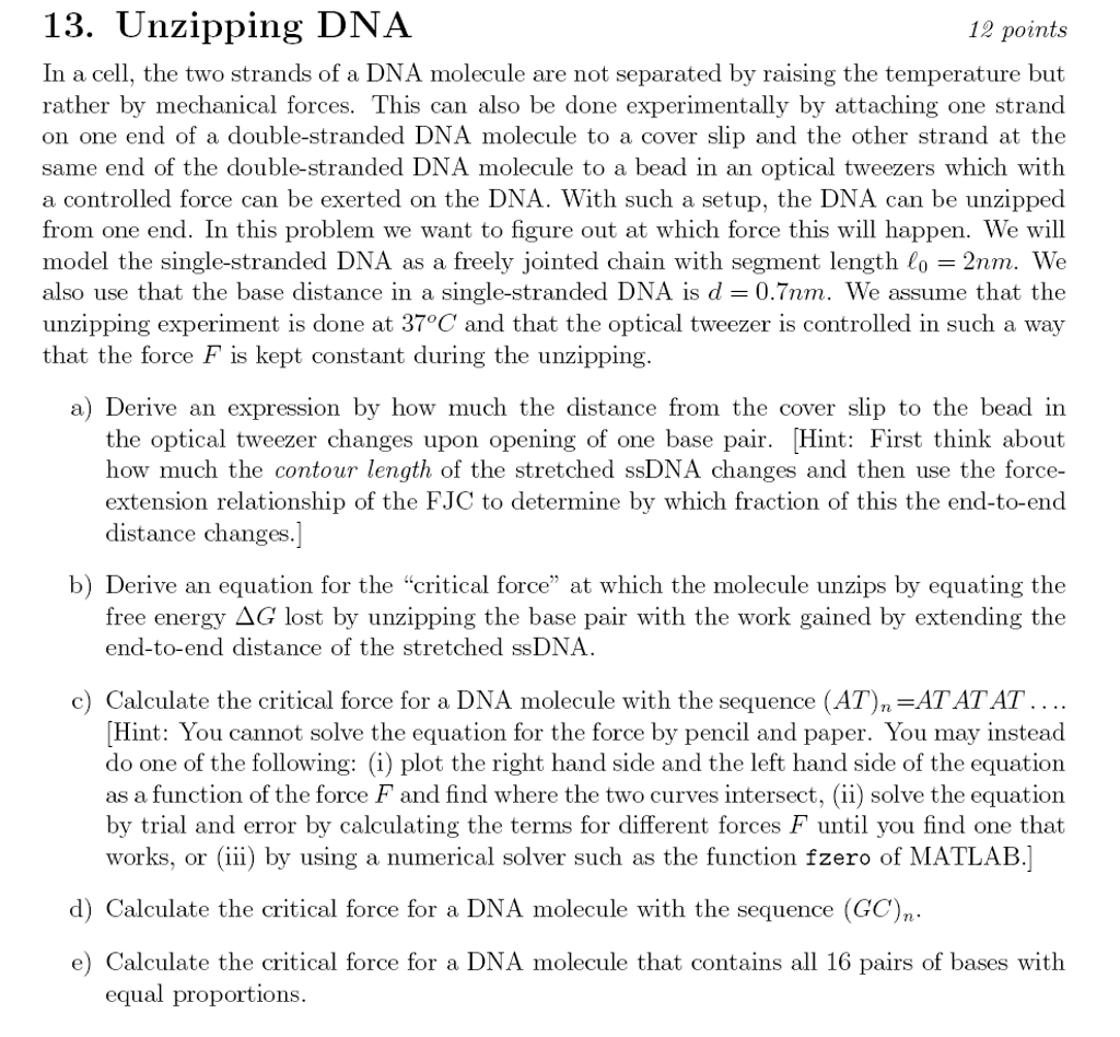 In A Cell The Two Strands Of A DNA Molecule Are Not Chegg in-a-cell-the-two-strands-of-a-dna-molecule-are-not-chegg