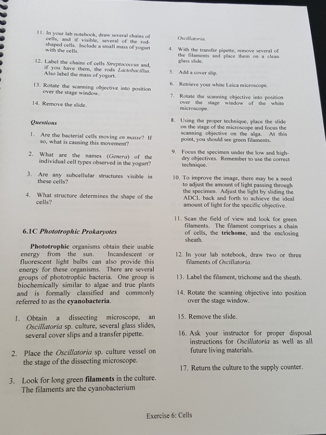 Solved Questions Are there subcellular structures | Chegg.com