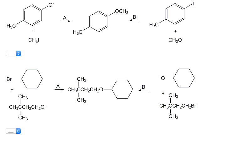 Solved Ethers can often be prepared by SN2 reaction of | Chegg.com