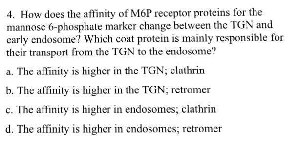 Solved 4. How does the affinity of M6P receptor proteins for | Chegg.com