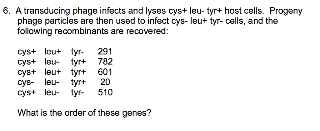 Solved 6. A transducing phage infects and lyses cys+ | Chegg.com