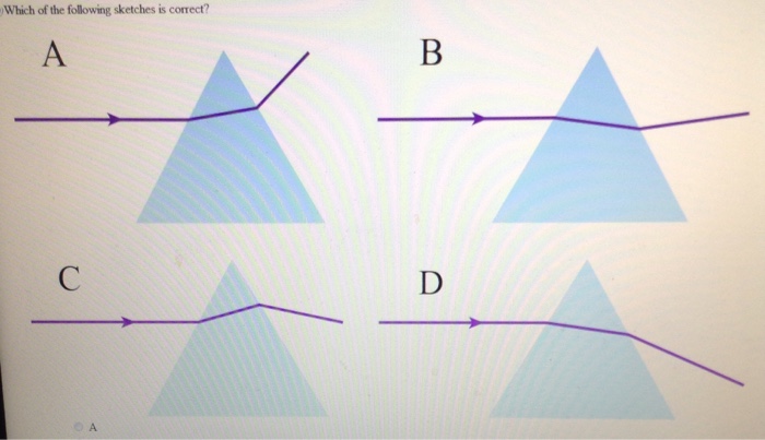 Solved Which of the following sketches is correct?A B C D A | Chegg.com