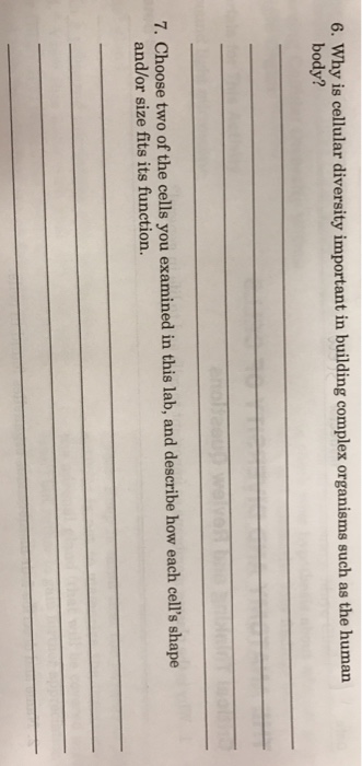 Solved THE ANATOMY AND DIVERSITY oF CELLS Critical Thinking | Chegg.com