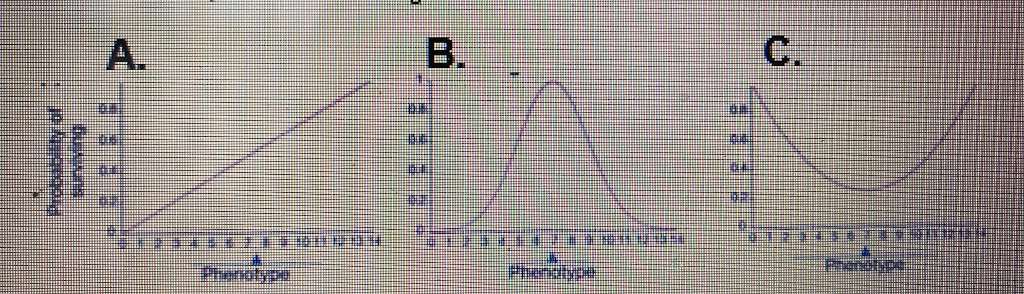 Which of the following graphs depicts the | Chegg.com