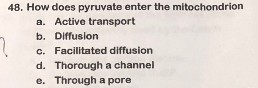 Solved 48. How does pyruvate enter the mitochondrion a. | Chegg.com