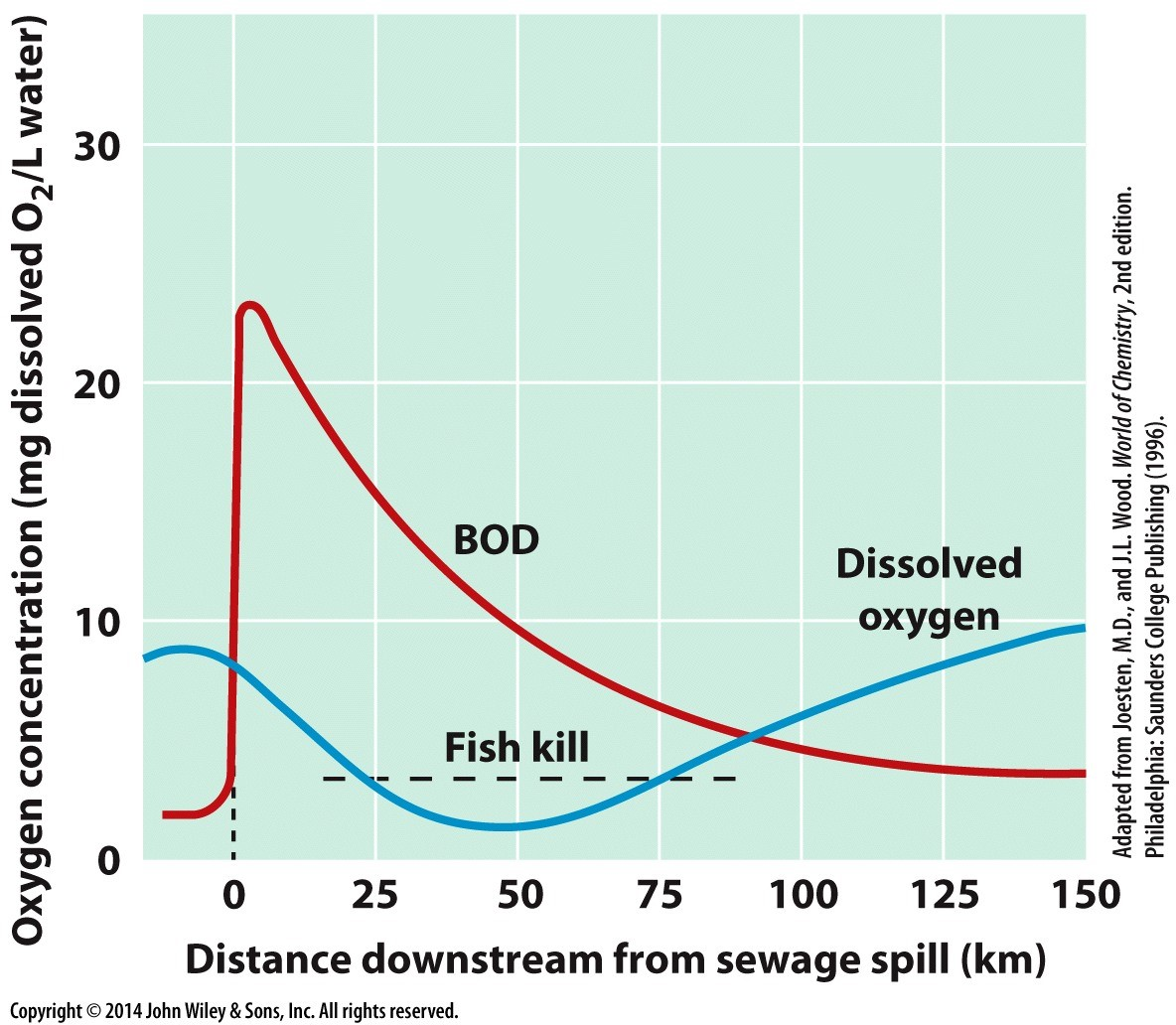 Solved 9. ?Using the following figure, describe how BOD | Chegg.com