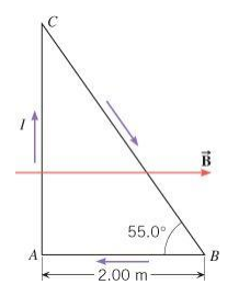 Solved A loop of wire has the shape of a right triangle (see | Chegg.com