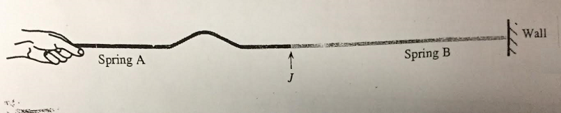 Solved A student performs an experiment with two springs, A | Chegg.com
