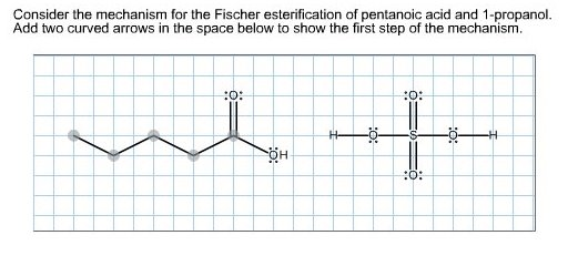 Solved Consider the mechanism for the Fischer esterification | Chegg.com