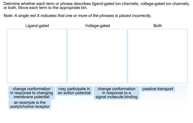 Solved determine whether each term or phrase describes | Chegg.com