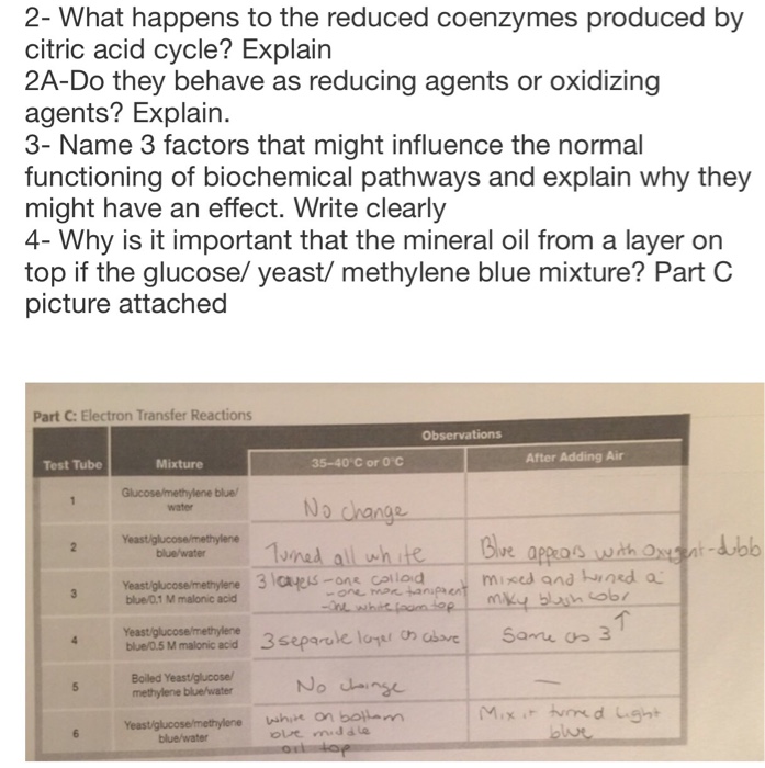Solved Questions attached in picture. Please type clear and | Chegg.com