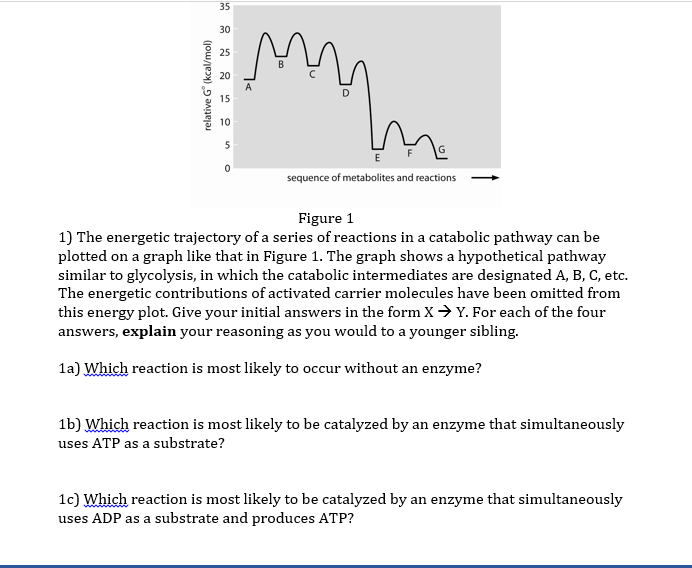 Solved The energetic trajectory of a series of reactions | Chegg.com