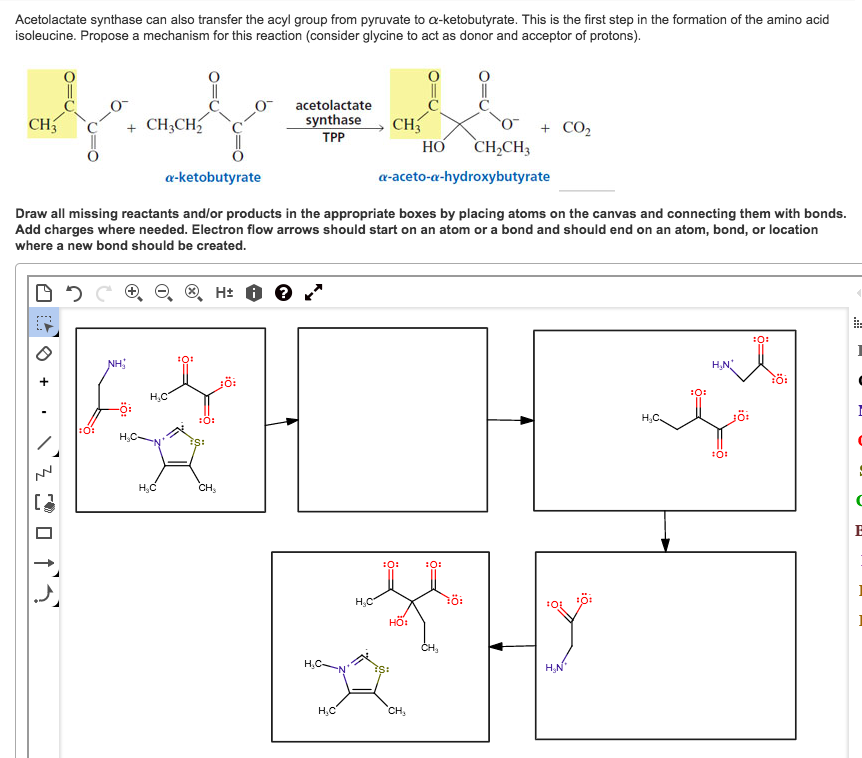 A decapeptide undergoes partial hydrolysis to give | Chegg.com