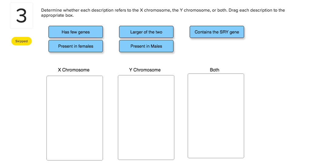 Solved 3 Determine whether each description refers to the X | Chegg.com
