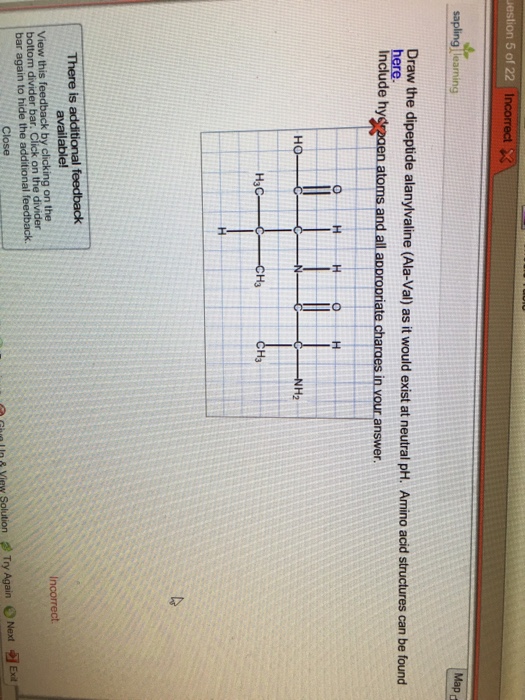 Solved estion 5 of 22 Inco sa Draw the dipeptide | Chegg.com