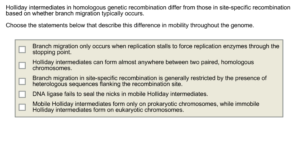 Solved Holliday intermediates in homologous genetic | Chegg.com