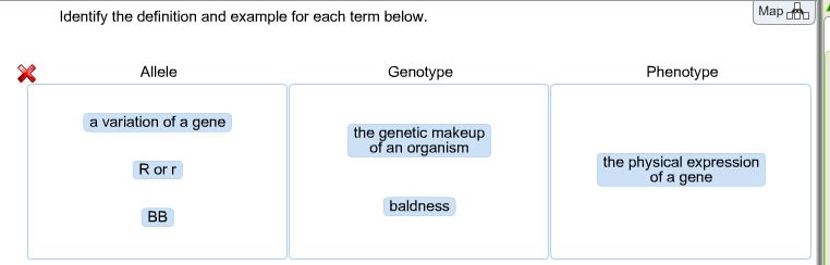 Solved Map Identify the definition and example for each term | Chegg.com