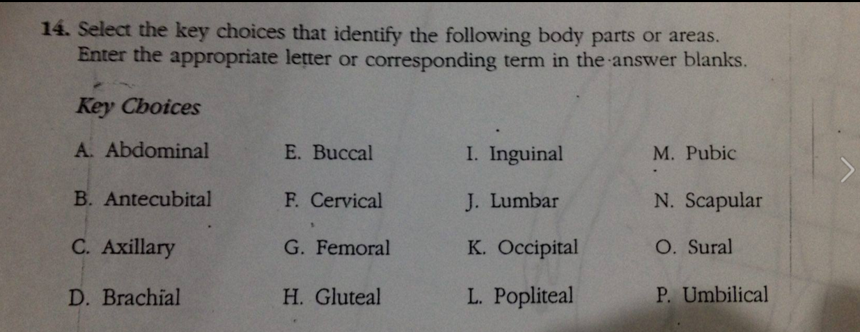 Solved Select the key choices that identify the following | Chegg.com