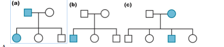 Solved 7. No. 23 Below are three pedigrees. For each, | Chegg.com