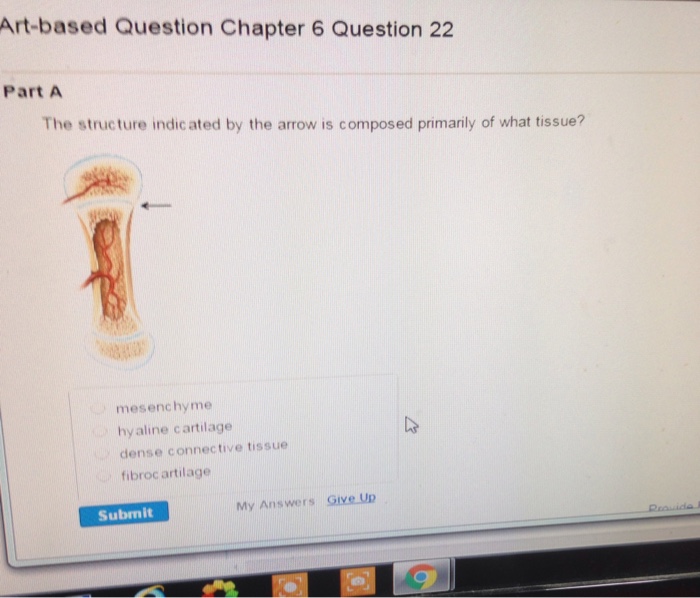 Solved The structure indicated by the arrow is composed | Chegg.com Solved The structure indicated by the arrow is composed | Chegg.com