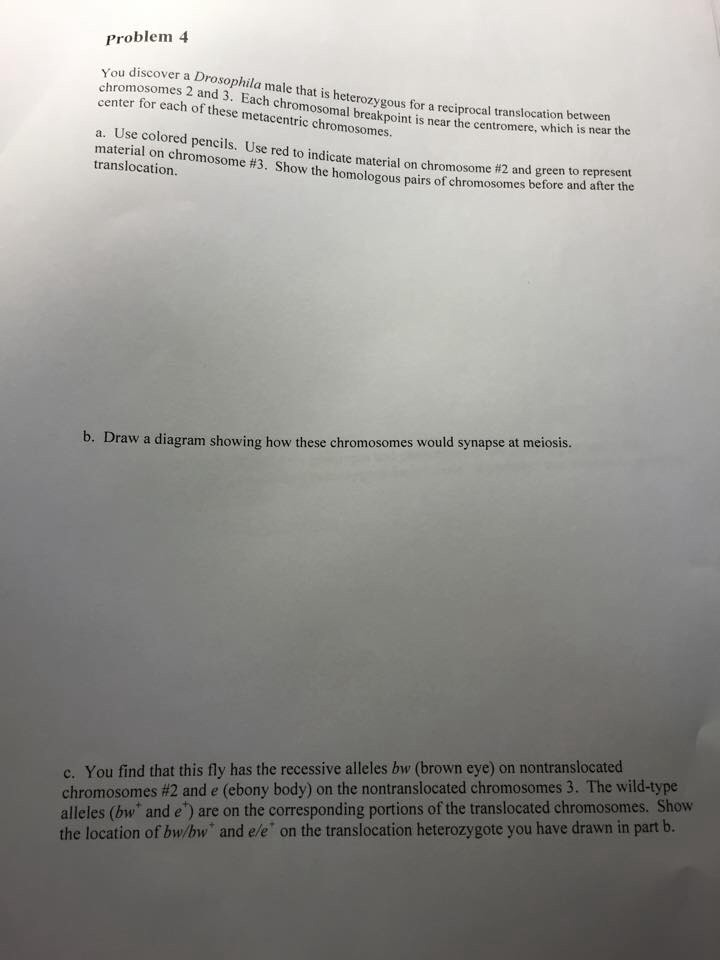 Solved d. Show alternate, adjacent-1, and adjacent-2 | Chegg.com
