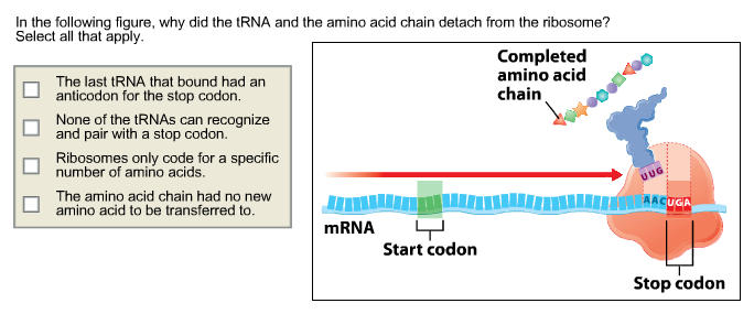 Solved DNA repair is necessary for normal gene function. | Chegg.com