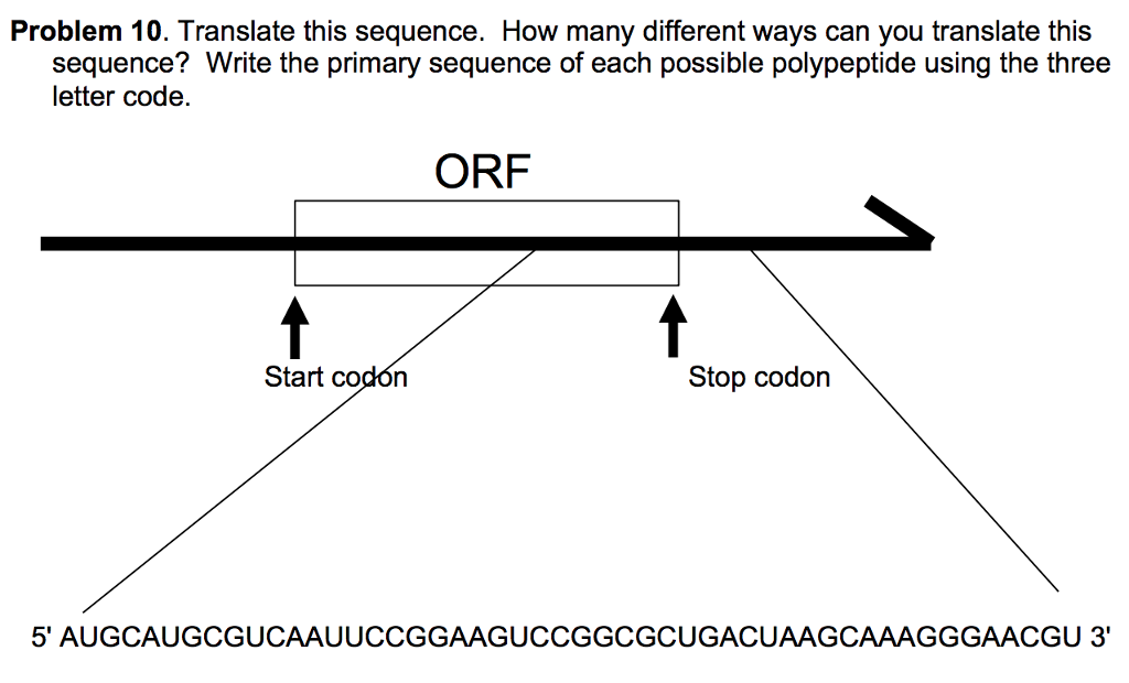 Solved Problem 10. Translate this sequence. How many | Chegg.com