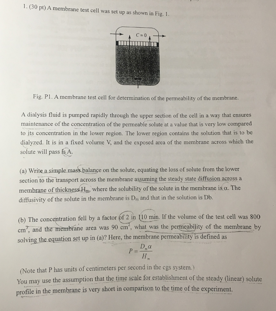 1. (30 pt) A membrane test cell was set up as shown | Chegg.com