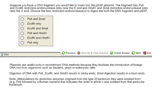Solved Plasmid vectors are small, circular DNA molecules | Chegg.com
