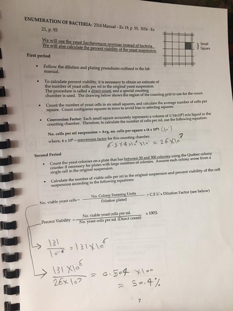 Solved ENUMERATION OF BACTERIA: 2314 Manual - Ex 19, p.55, | Chegg.com
