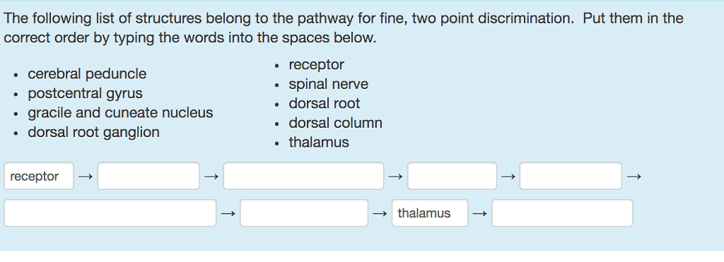 Solved The following list of structures belong to the | Chegg.com
