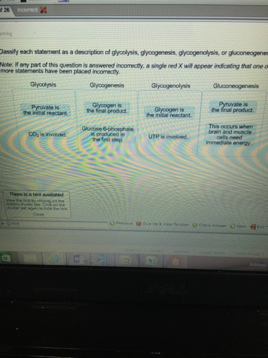 Solved Classify each statement as a description of | Chegg.com Solved Classify each statement as a description of | Chegg.com