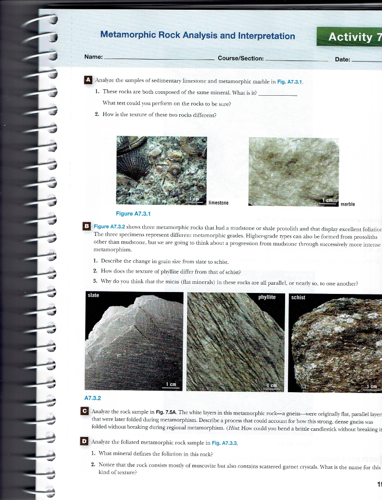 Solved Metamorphic Rock Analysis and Interpretation Activity | Chegg.com