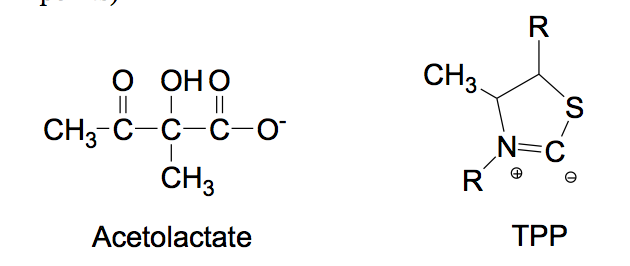 Acetolactate (structure below) is a precursor for the | Chegg.com