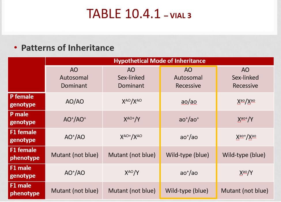 Exercise 10.4: Patterns of Inheritance a. purpose 4. | Chegg.com