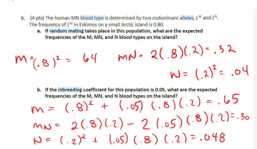 Solved (4 pts) The human MN blood type is determined by two | Chegg.com