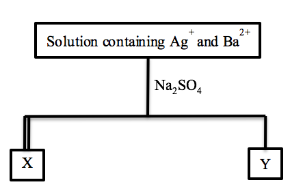 Solved Assume that a given solution contains Ag+ or Ba2+ or | Chegg.com