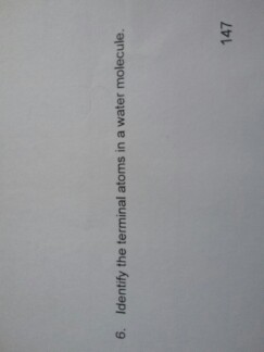 Solved Identify the terminal atoms in a water molecule. | Chegg.com