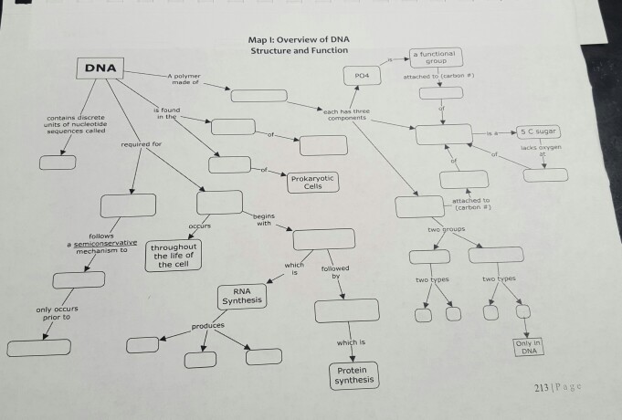 Solved Complete each of the concept maps in order. Select | Chegg.com