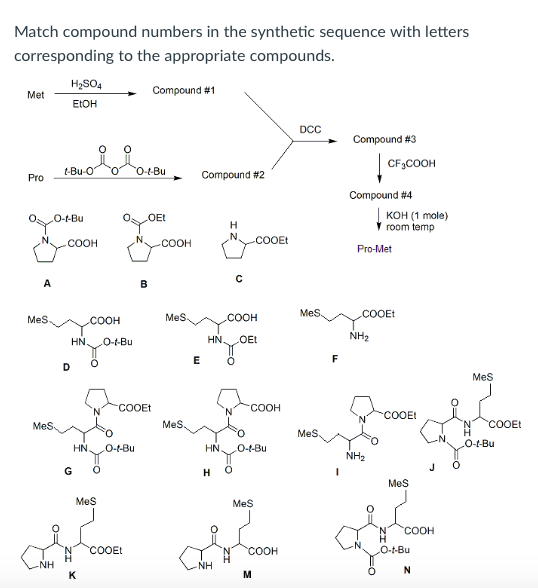 Solved Match compound numbers in the synthetic sequence with | Chegg.com