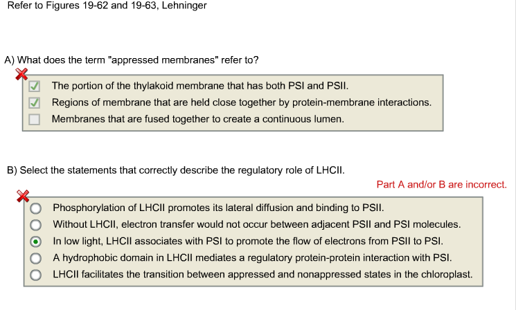 Solved What does the term "appressed membranes" refer to? | Chegg.com