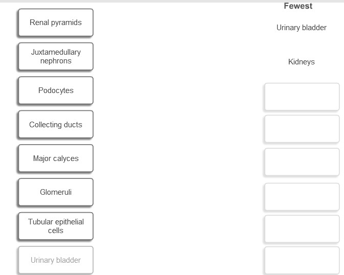 Solved: Place The List Of Structures In Order From The Few... | Chegg.com