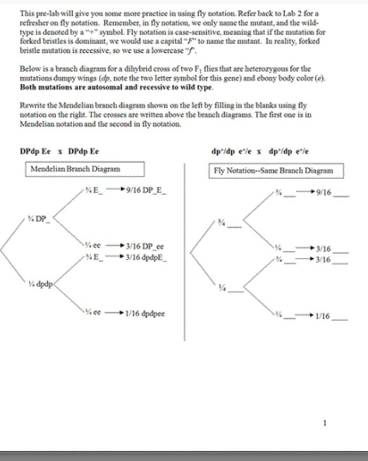 Solved This pre-lab will give you some more practice in | Chegg.com