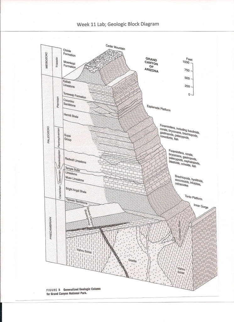 Canyon Diagram