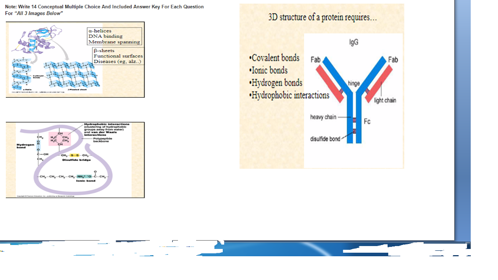 Solved Note: Write 14 Conceptual Multiple Choice And | Chegg.com